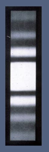 Key Concepts And Definitions Of Diffraction In Physics Flashcards Quizlet