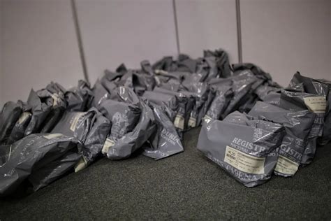选举观察团主任警告说：“在哥伦比亚，从来没有计票” Infobae