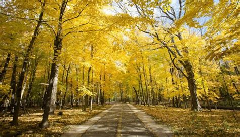 Cook County Forest Preserve To Host Public Events Sept 26 At Forest