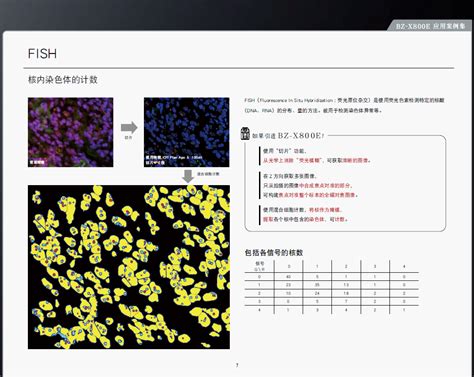 遨游系列专题：基恩士荧光显微镜 为生命科学赋能 分析测试百科网