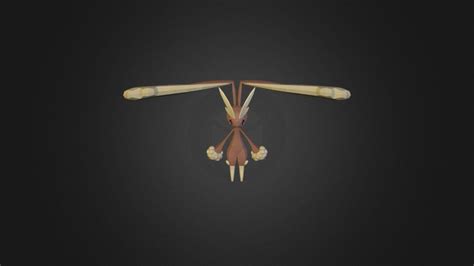 Lopunny 3d Model By Karrybird Karrybird Sketchfab