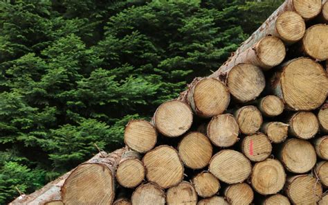 Structured Logging In Clojure Valeblog