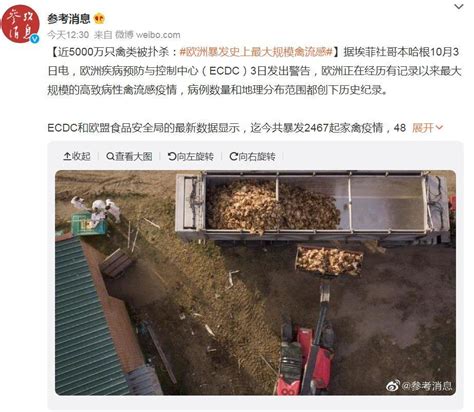 欧洲暴发史上最大规模禽流感，波及37个国家 近5000万只禽类被扑杀凤凰网