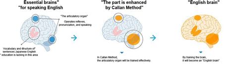 The Callan Method Lesson English Esl School
