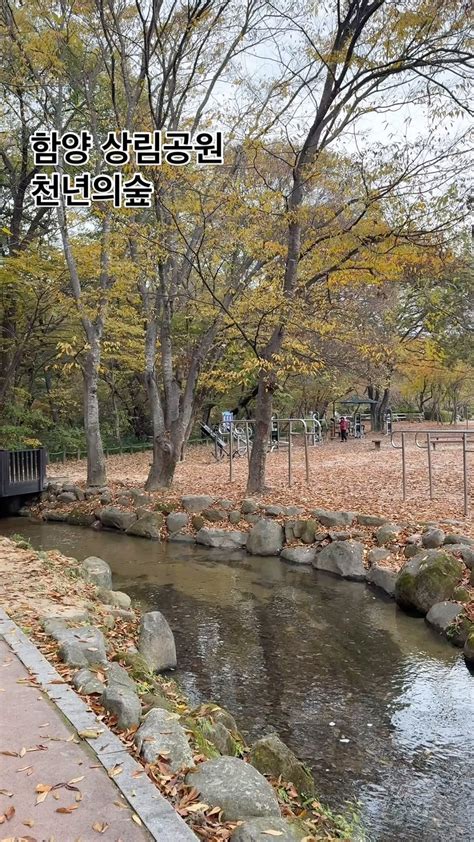 유에 협찬 대전수피아 대전에서 솥뚜껑닭볶음탕을 맛볼수 있는 이색맛집을 다녀왔어요 토종닰볶음탕이라 양도 감칠맛도 식감도 배로 즐길수 있어서 가족모임이나 기타 모임을