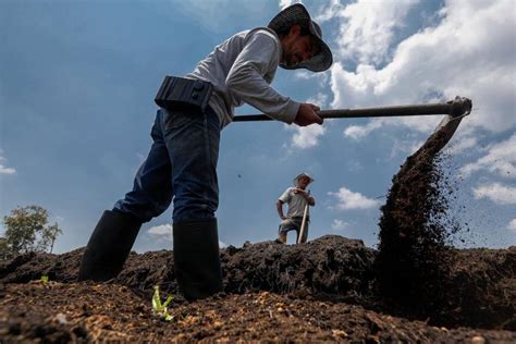 Nueva Jurisdicción Agraria ¿es La Ruta Adecuada Para Solucionar Los