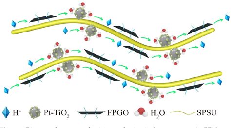 Figure 8 From High Performance And Self Humidifying Of Novel Cross