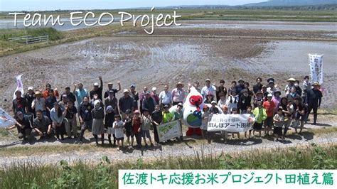 「トキとの共生を願って」佐渡トキ応援お米プロジェクト田植え篇【team Eco Project2024🌱】 Youtube