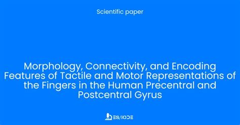 Scientific Research Morphology Connectivity And Encoding Features Of… Es Iode