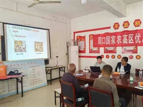 我院油料所开展科技志愿下乡服务 周口市农业科学院