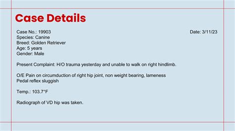Canine Hip Dysplasiapptx