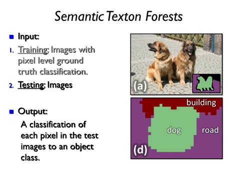 ppt semantic texton forests for image categorization and segmentation