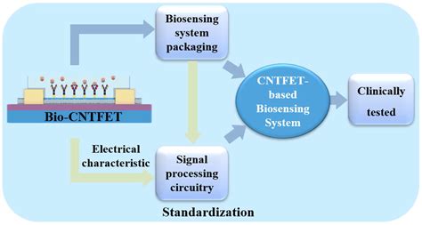 Toward The Commercialization Of Carbon Nanotube Field Effect Transistor Biosensors