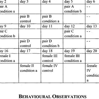 Scheme Of Testing Sequence During Two Weeks We Tested Four Pairs One Download Scientific