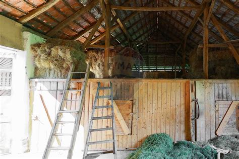 Casa Vila 10 Camere Vanzare Bihor Dumbravita De Codru RMX134044 RE