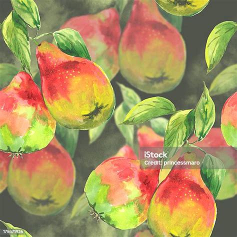 연속무늬 워터컬러 Pears 0명에 대한 스톡 벡터 아트 및 기타 이미지 0명 가을 계절 Istock