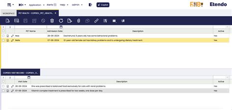 Dev Assistant Etendo Documentation