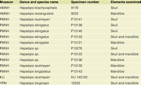 Hapalops Specimens Examined For This Study The Names Of Museums Are