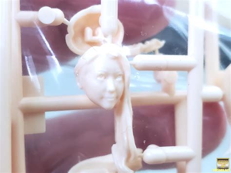 Gsc Plamax Naked Angel Maki Hojo