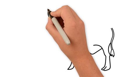 Como Desenhar Um Boi Youtube