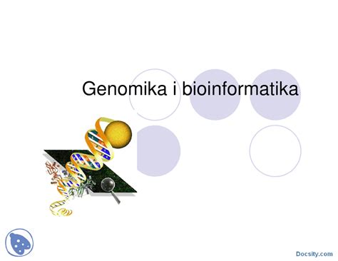 Genomika Slajdovi Principi Genetike Slajdovi Predlog Genetika Docsity