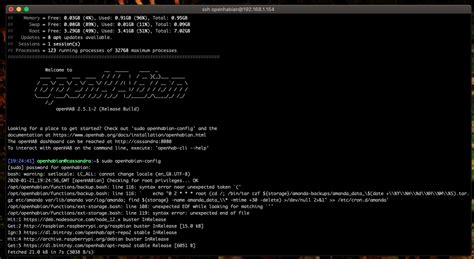 Errors While Running Openhabian Config Issue Openhab