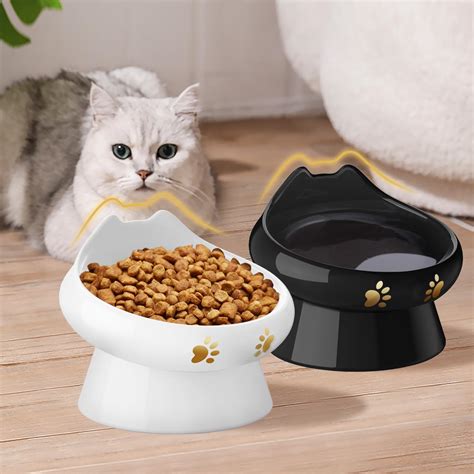 Cat Bowls Elevated Raised Cat Food Bowl Anti Vomiting