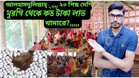 শিক্ষকতার পাশাপাশি দেশি মুরগি পালন দেশি মুরগিতে বেশি লাভ Chicken Farming Youtube