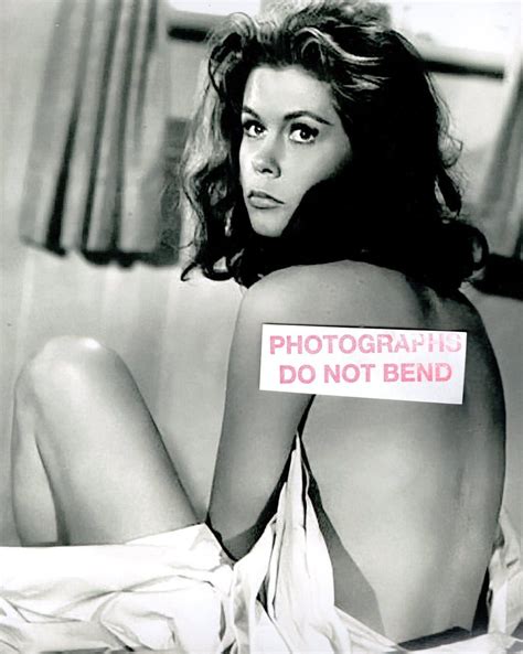 8x10 Photo Elizabethmontgomery Pretty Sexy Tv Star Before Etsy