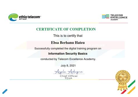 successfully completed the digital training program on information