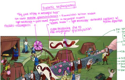 Diabetic Nephropathy Flashcards Quizlet