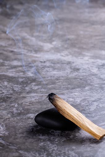 팔로 산토 나무의 막대기는 세계에서 가장 향기로운 나무 중 하나입니다 0명에 대한 스톡 사진 및 기타 이미지 0명 나무