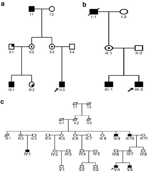 X Linked Recessive
