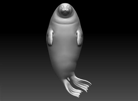 3d Seal Models Turbosquid
