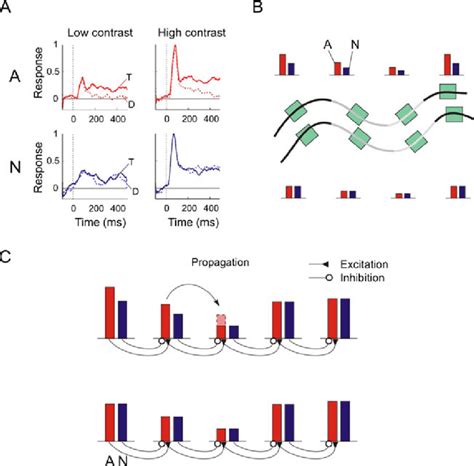 Incremental Grouping Of Contour Elements With Varying Contrasts A