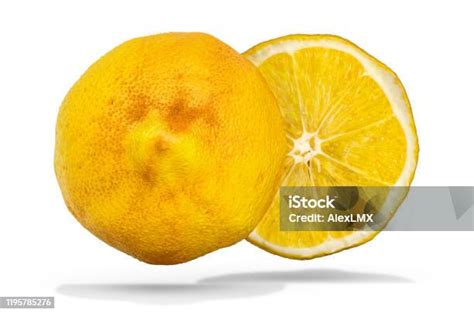 레몬 단면 흰색 배경에 격리된 사실적인 텍스처가 있는 3d 렌더링 0명에 대한 스톡 사진 및 기타 이미지 0명 3차원 형태 건강한 생활방식 Istock