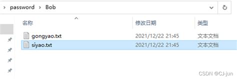 Rsa公钥密码的实现javaalice和bob要运用公钥密码 Csdn博客