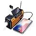 FosPower Radio Portable d urgence Météo avec Batterie de mAh Batterie Rechargeable par