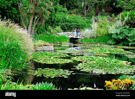 Royal Tasmanian Botanical Gardens Pond Hobart Tasmania Australia Stock