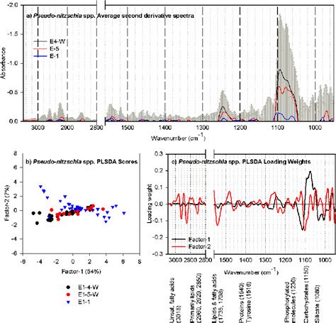 Average Second Derivative Spectra A Plsda Scores Plot B And Plsda