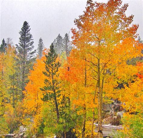 Colored Photograph By Marilyn Diaz Fine Art America