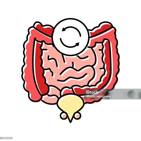 장 방광 습관 질병 증상 색상 아이콘 벡터 그림 변경 건강관리와 의술에 대한 스톡 벡터 아트 및 기타 이미지 건강관리와 의술
