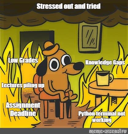 Meme Stressed Out And Tried Low Grades Knowledge Gaps Lectures Piling