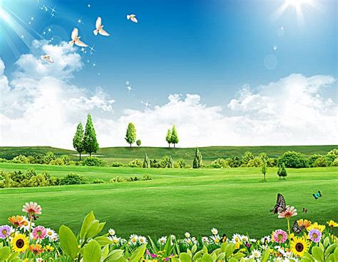 Free Flowers Meadow Trees Background Images Blue Sky Green Grass