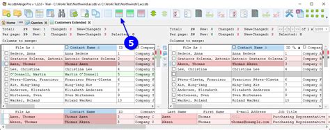 Accdbmerge Use Cases Compare Query Result