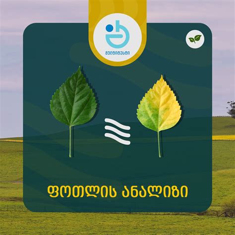 იცოდით Laboratory Multitest ლაბორატორია მულტიტესტი Facebook