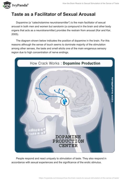 How The Brain Reacts To Sexual Stimulation Of The Sense Of Taste 1341 Words Research Paper