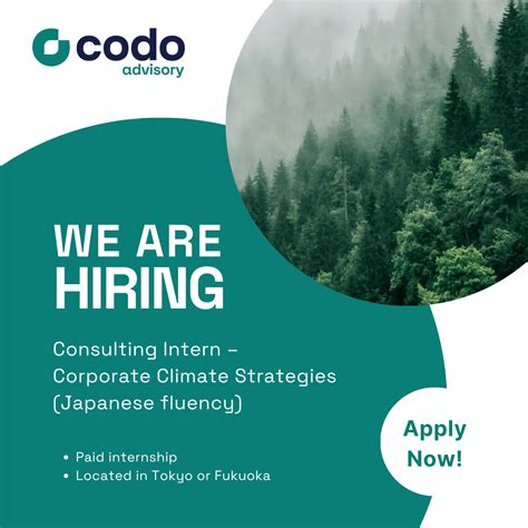 Internship Posting En Codo Advisory