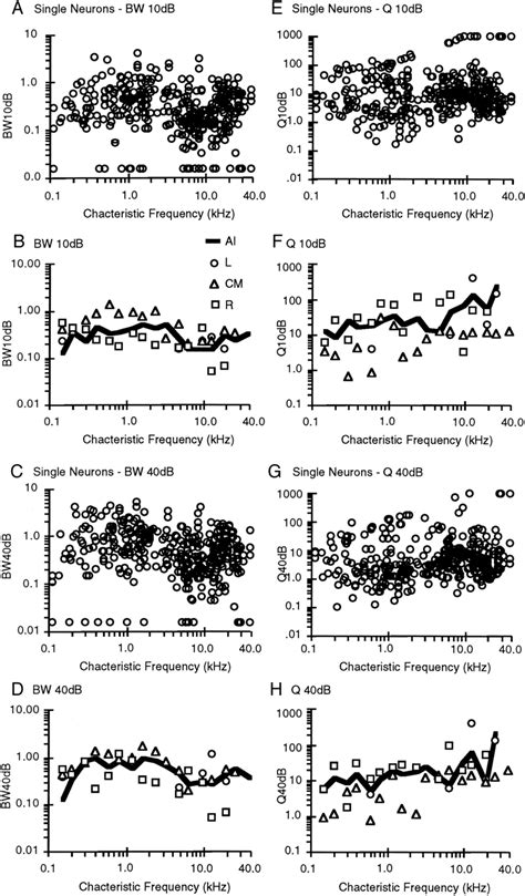 Distributions Of Frequency Bandwidth Parameters A Bandwidth Measured