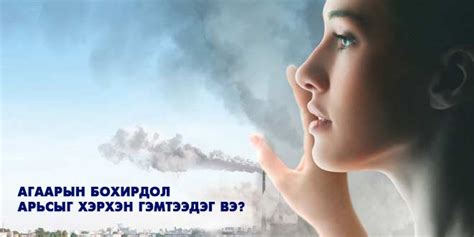 Агаарын бохирдол арьсыг хэрхэн гэмтээдэг вэ